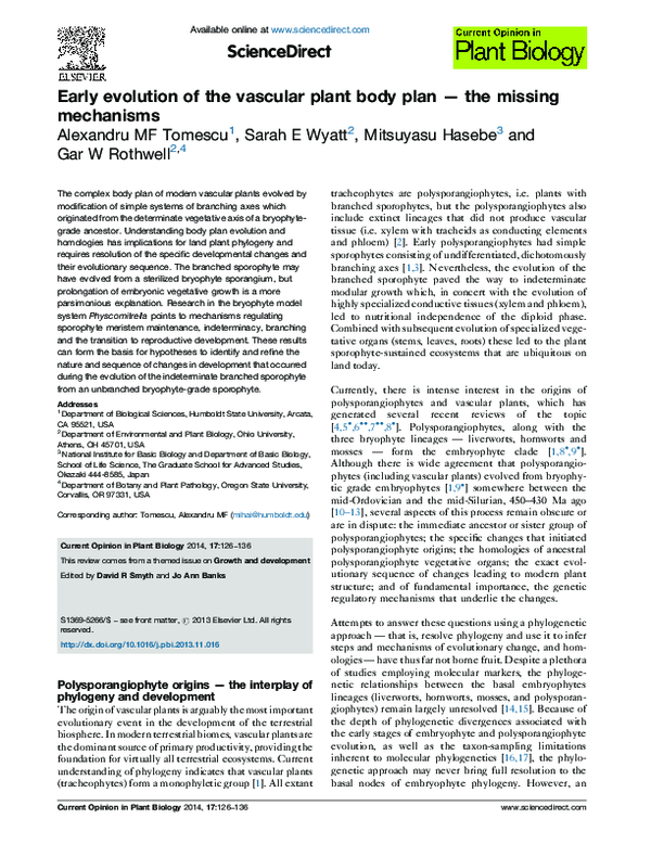 (PDF) Early evolution of the vascular plant body plan — the missing ...