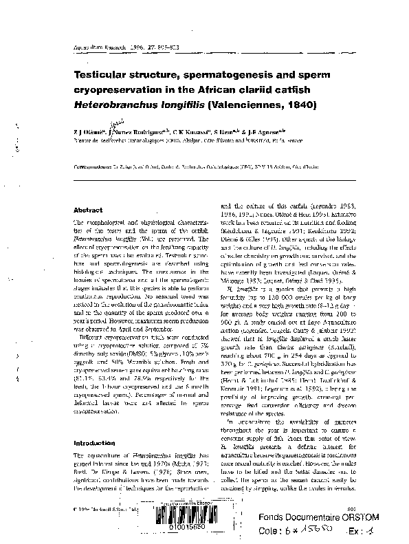 (PDF) Testicular structure, spermatogenesis and sperm cryopreservation ...