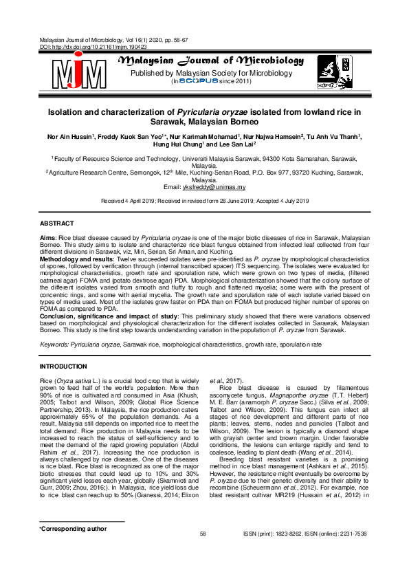 (PDF) Isolation and characterization of Pyricularia oryzae isolated ...