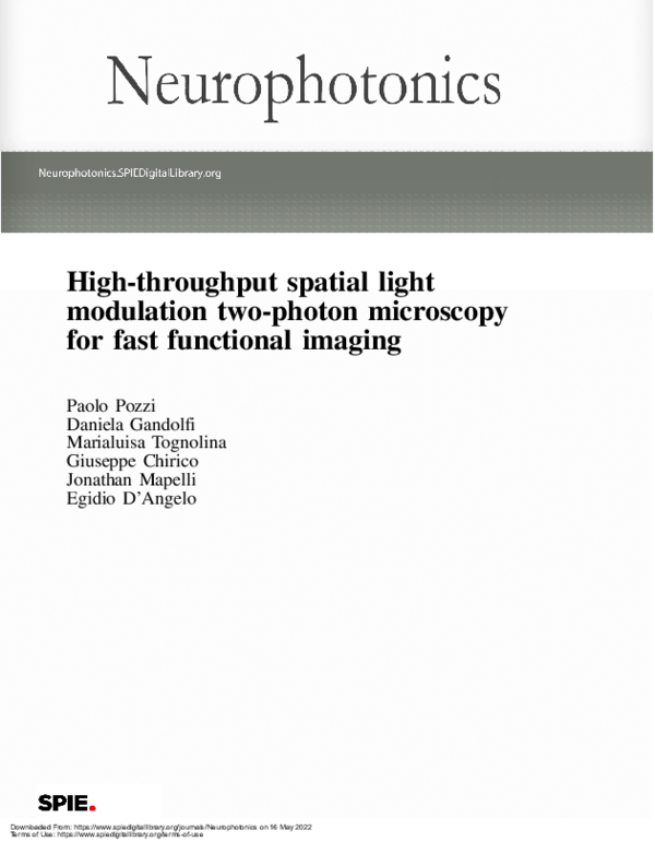 Pdf High Throughput Spatial Light Modulation Two Photon Microscopy For Fast Functional Imaging