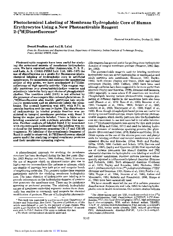 (PDF) Hydrophobic Core Labeling in Erythrocytes
