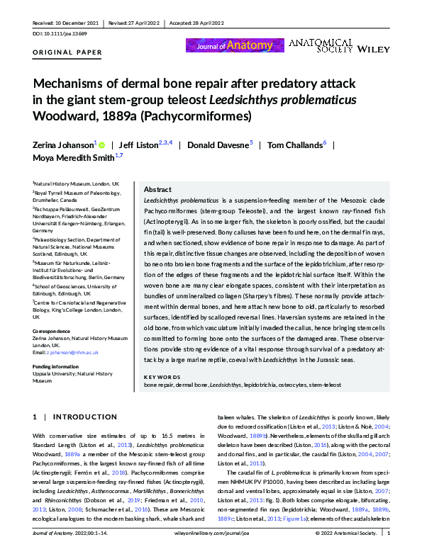(PDF) Mechanisms of dermal bone repair after predatory attack in the ...