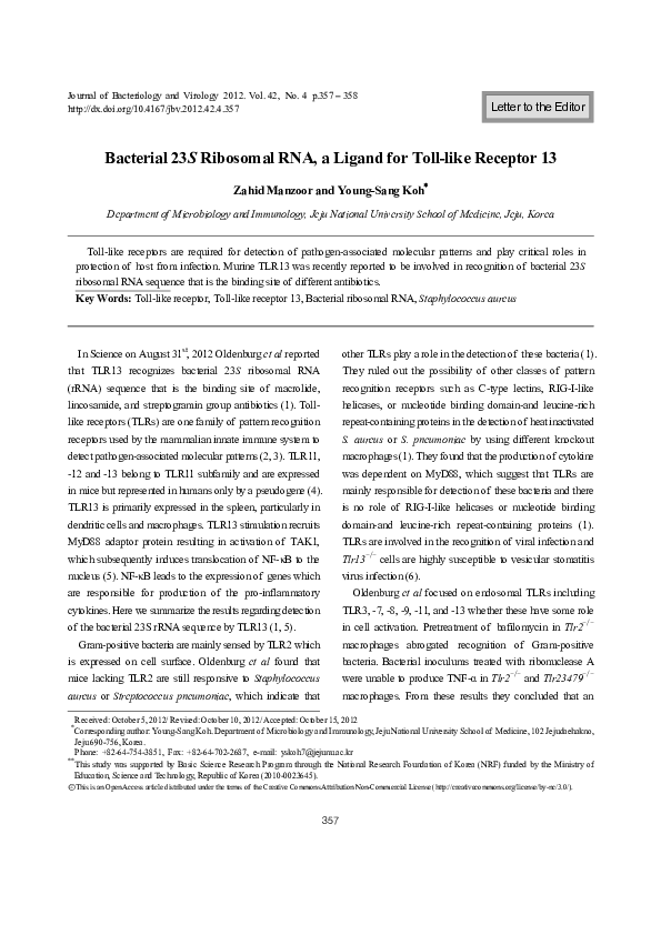 (PDF) Bacterial 23 S Ribosomal RNA, a Ligand for Toll-like Receptor 13
