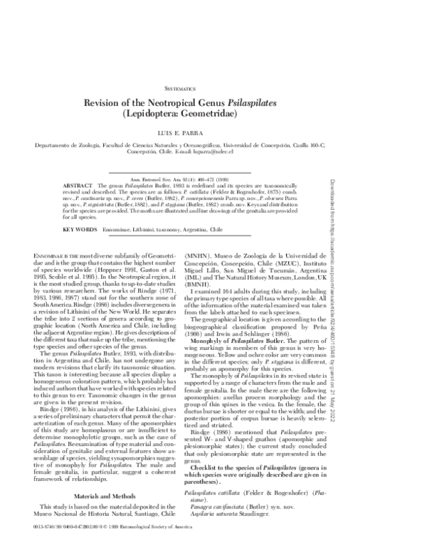 (PDF) Revision of the Neotropical Genus Psilaspilates (Lepidoptera ...