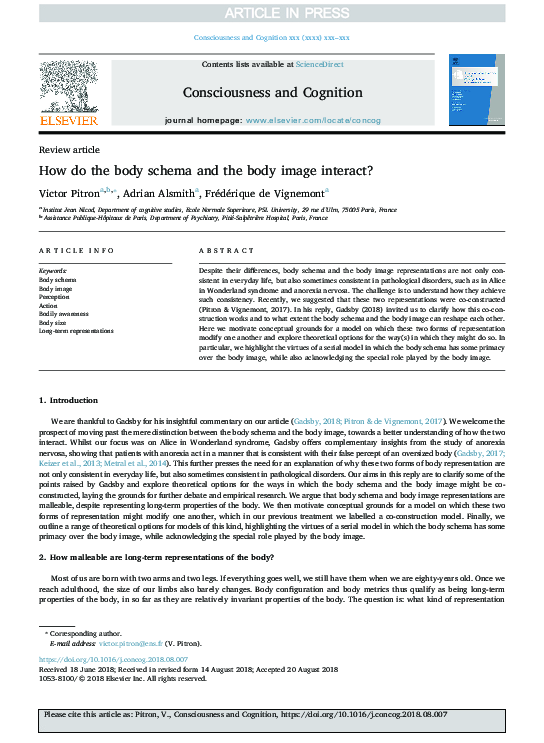 (PDF) How do the body schema and the body image interact?