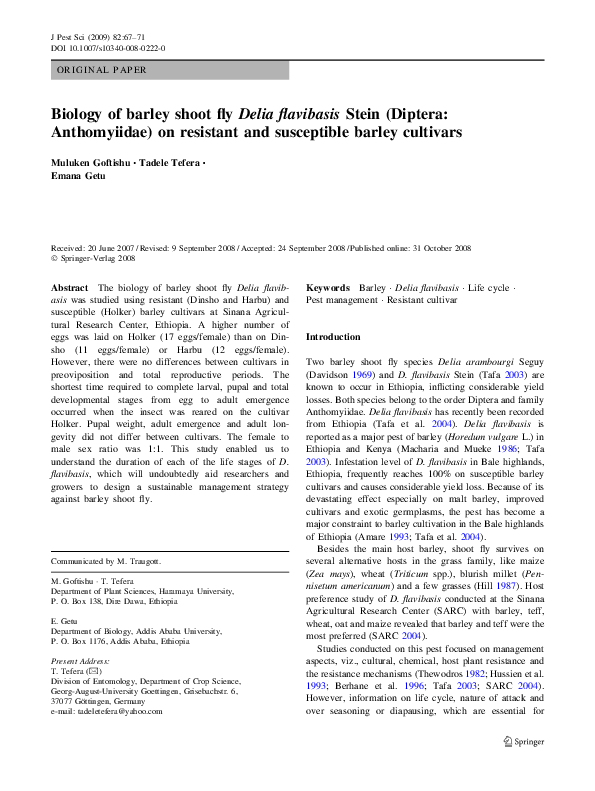 (PDF) Biology of barley shoot fly Delia flavibasis Stein (Diptera ...