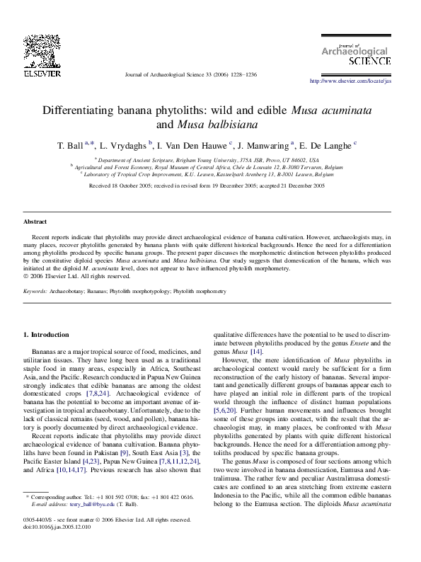 (PDF) Differentiating banana phytoliths: wild and edible Musa acuminata ...