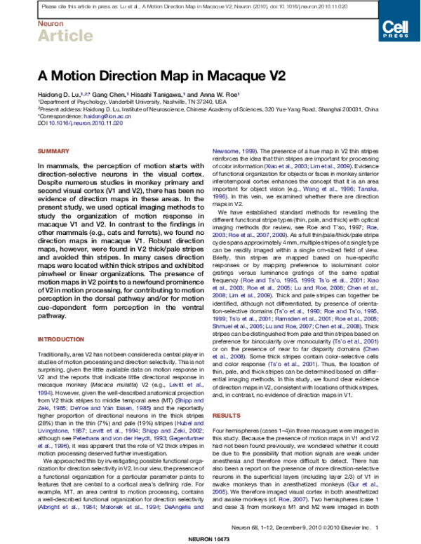 (PDF) A Motion Direction Map in Macaque V2