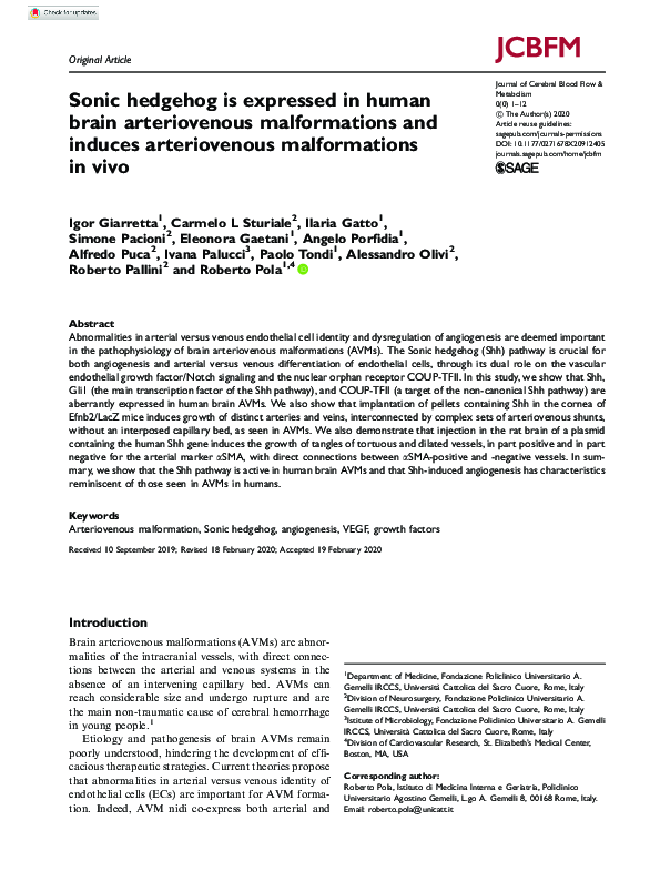 (PDF) Sonic hedgehog is expressed in human brain arteriovenous ...
