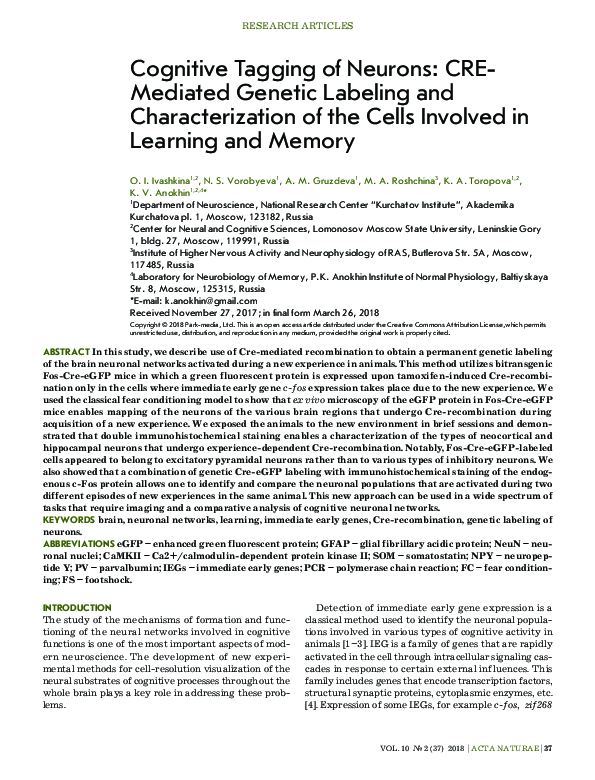 (PDF) Cognitive Tagging of Neurons: CREMediated Genetic Labeling and ...