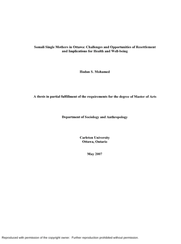 (PDF) Somali single mothers in Ottawa: challenges and opportunities of ...