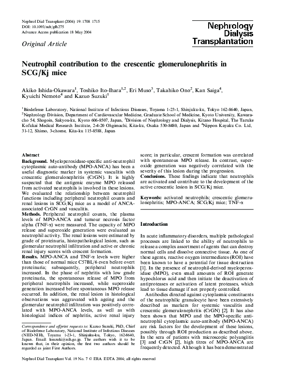 (PDF) Neutrophil contribution to the crescentic glomerulonephritis in ...
