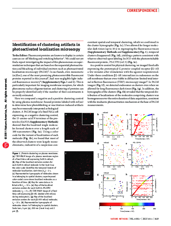 (PDF) Identification of clustering artifacts in photoactivated localization microscopy