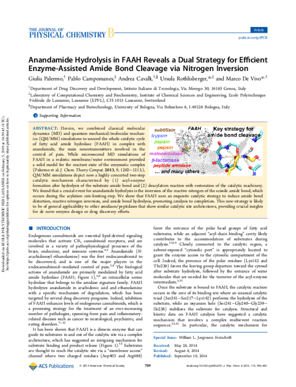 (PDF) Anandamide Hydrolysis in FAAH Reveals a Dual Strategy for ...