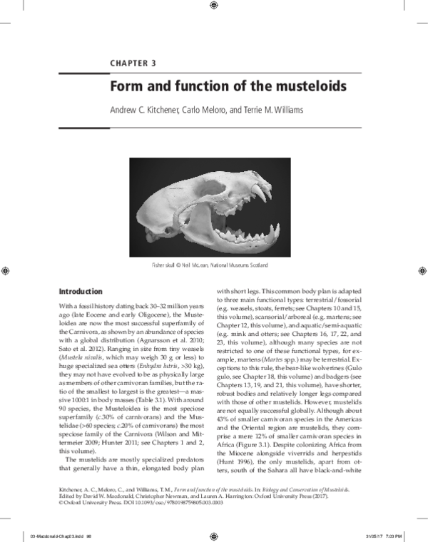 (PDF) Form and function of the musteloids