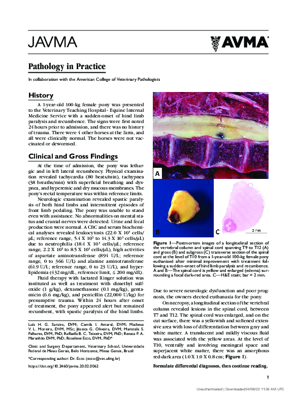 (PDF) Pathology in Practice