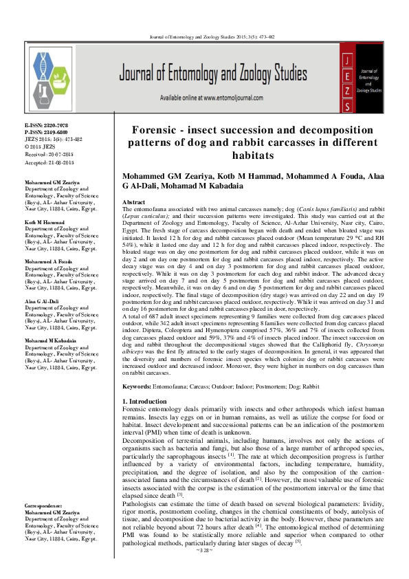 (PDF) Forensic - insect succession and decomposition patterns of dog ...