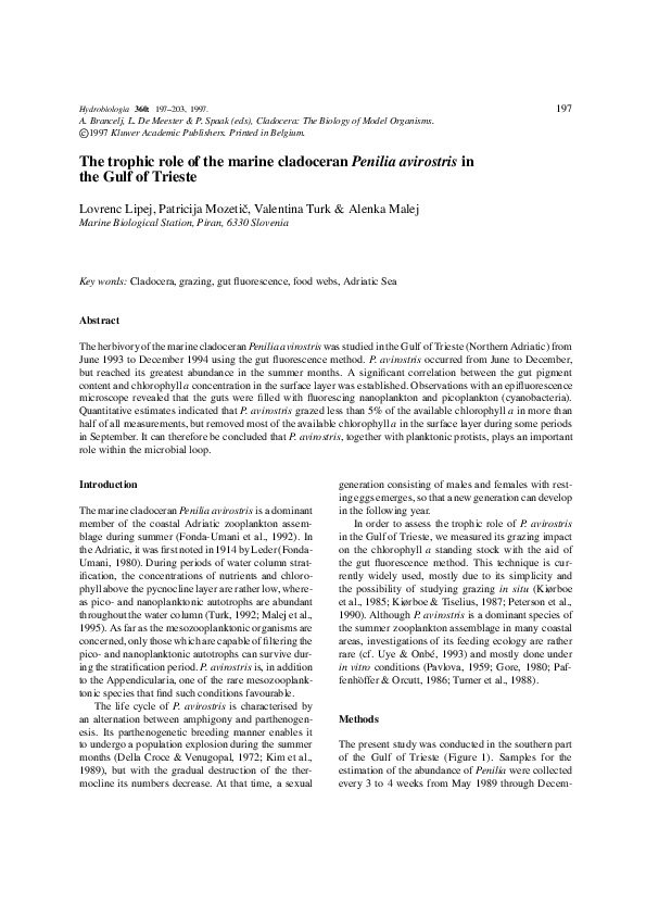 (PDF) The trophic role of the marine cladoceran Penilia avirostris in ...
