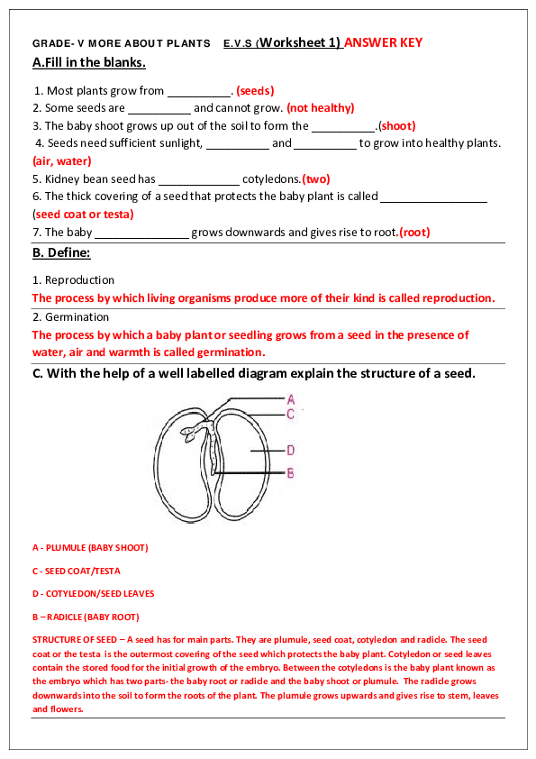 (PDF) EXTENDED UNIVERSAL SCIENCE GRADE 5 WORKSHEET WITH ANSWERS
