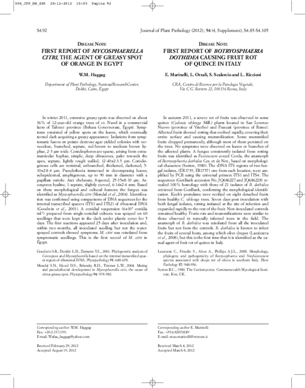 (PDF) First Report of Mycosphaerella Citri, the Agent of Greasy Spot of ...