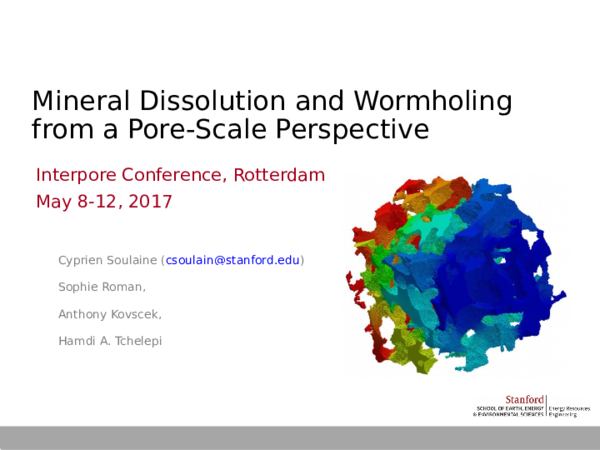 (PDF) Mineral dissolution and wormholing from a pore-scale perspective