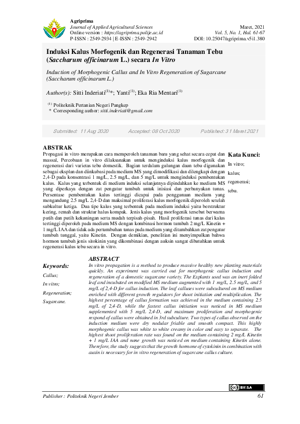 (PDF) Induksi Kalus Morfogenik dan Regenerasi Tanaman Tebu (Saccharum ...
