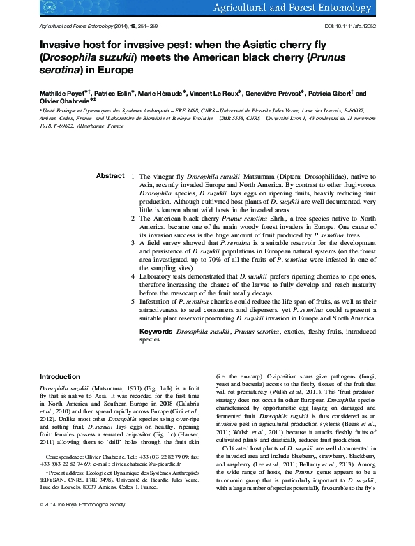 (PDF) Invasive host for invasive pest: when the Asiatic cherry fly (Drosophila suzukii) meets ...