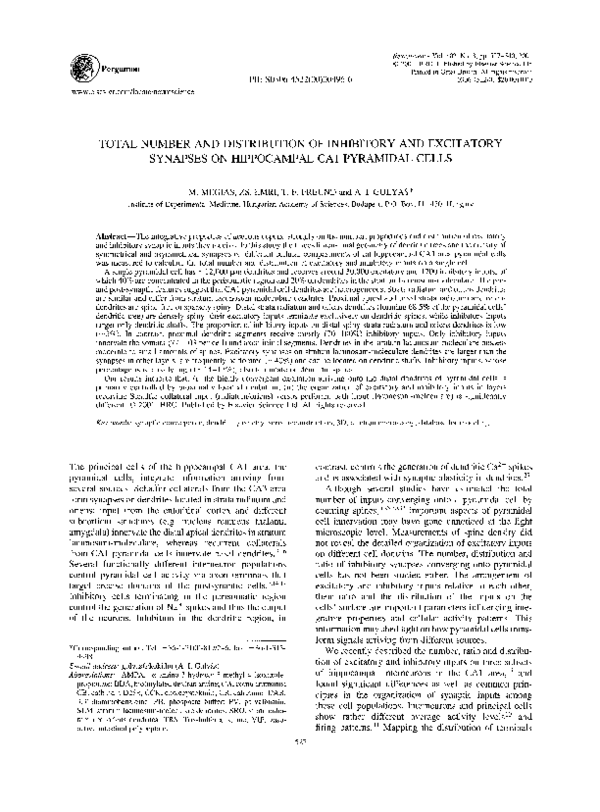 (PDF) Synaptic Input Distribution on Hippocampal CA1 Pyramidal Cells