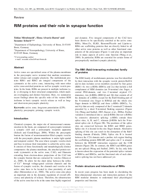(PDF) RIM proteins and their role in synapse function