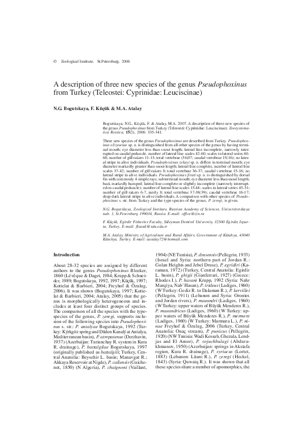 (PDF) A description of three new species of the genus Pseudophoxinus ...
