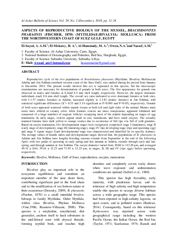 (PDF) Aspects of Reproductive Biology of the Mussel, Brachidontes ...