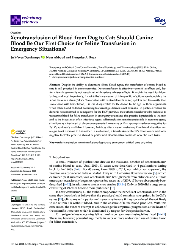 (PDF) Xenotransfusion of Blood from Dog to Cat: Should Canine Blood Be ...