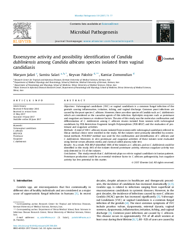 (PDF) Exoenzyme activity and possibility identification of Candida dubliniensis among Candida ...