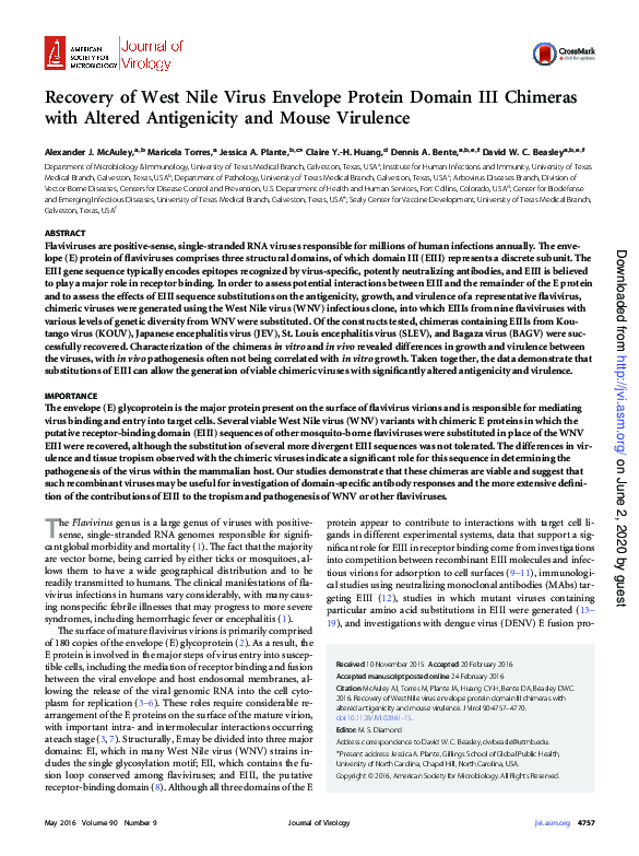 (PDF) Recovery of West Nile Virus Envelope Protein Domain III Chimeras ...