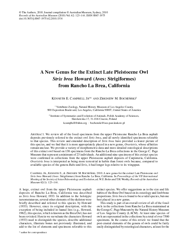 (PDF) A new genus for the extinct Late Pleistocene owl Strix brea ...