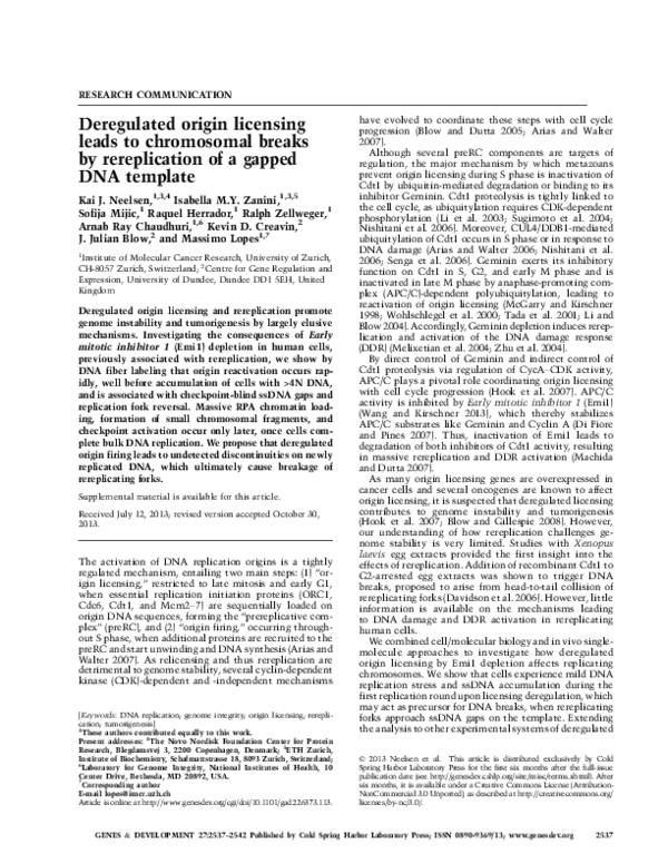 (PDF) Deregulated Origin Licensing Causes DNA Breaks from Rereplication