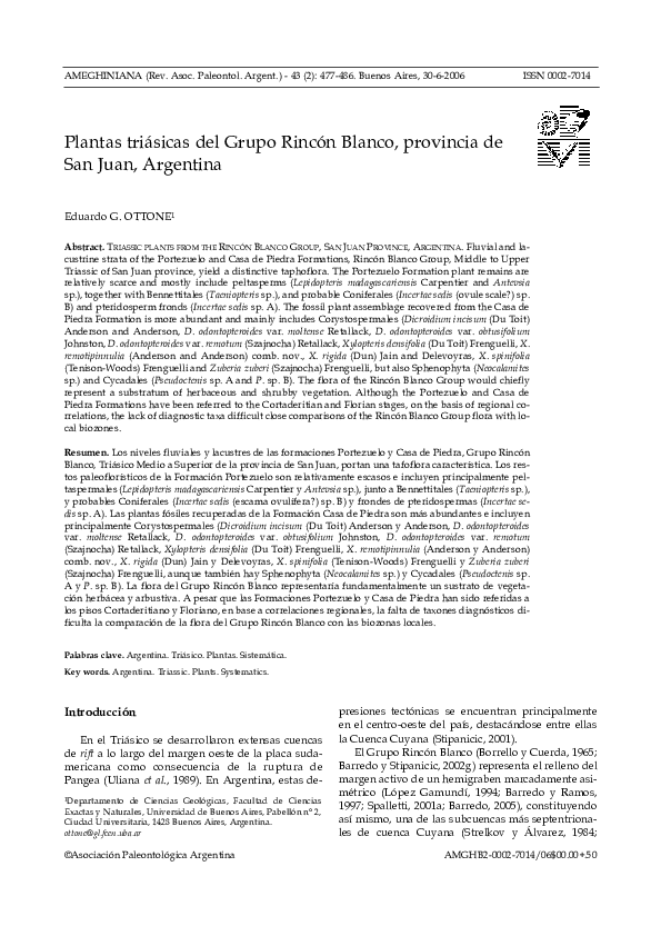 (PDF) Triassic plants from the Rincón Blanco Group, San Juan Province ...