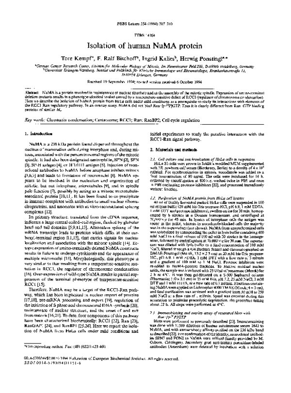 (PDF) Isolation of human NuMA protein