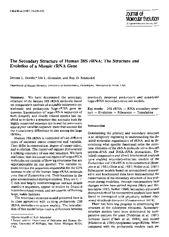 (PDF) The secondary structure of human 28S rRNA: The structure and ...