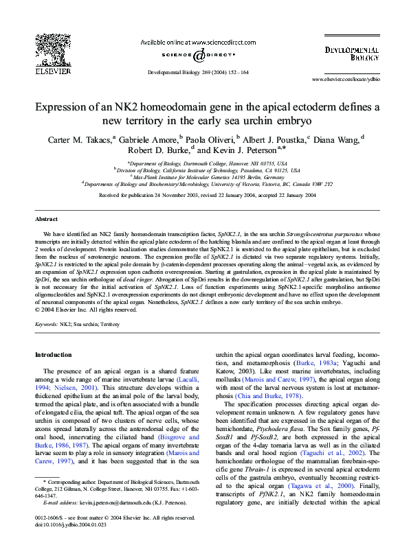 (PDF) Expression of an NK2 homeodomain gene in the apical ectoderm ...