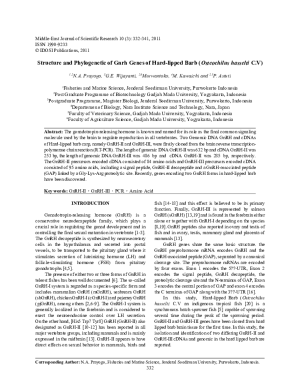 (PDF) Optimization of Plane and Space Trusses Using Genetic Algorithms | Atef Eraky - Academia.edu