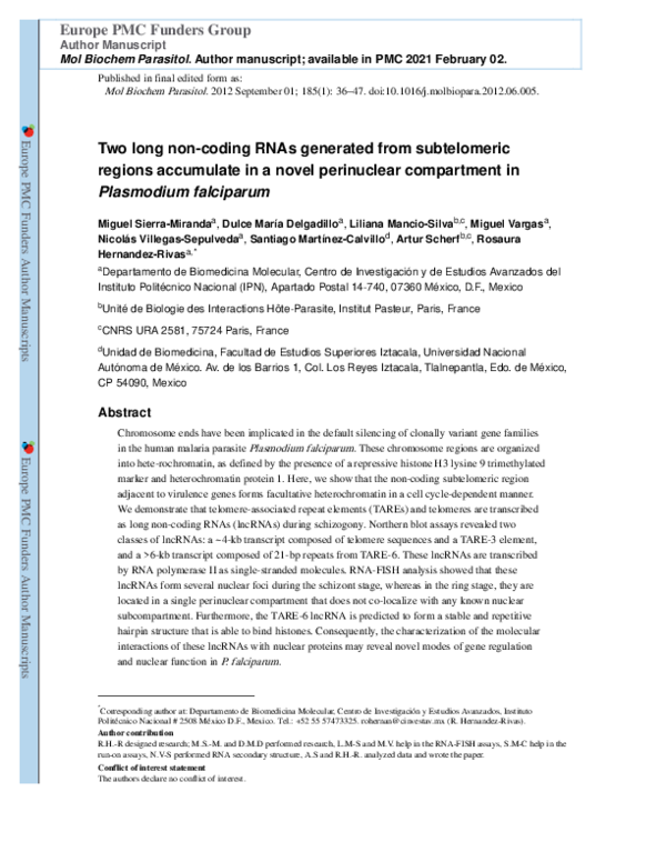 (PDF) Two long non-coding RNAs generated from subtelomeric regions ...
