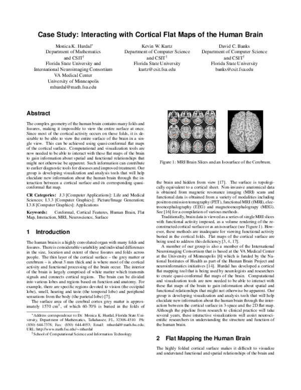 (PDF) Case study: interacting with cortical flat maps of the human brain
