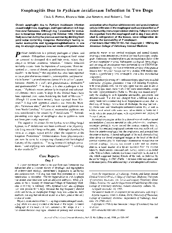 (PDF) Esophagitis Due to Pythium insidiosum Infection in Two Dogs