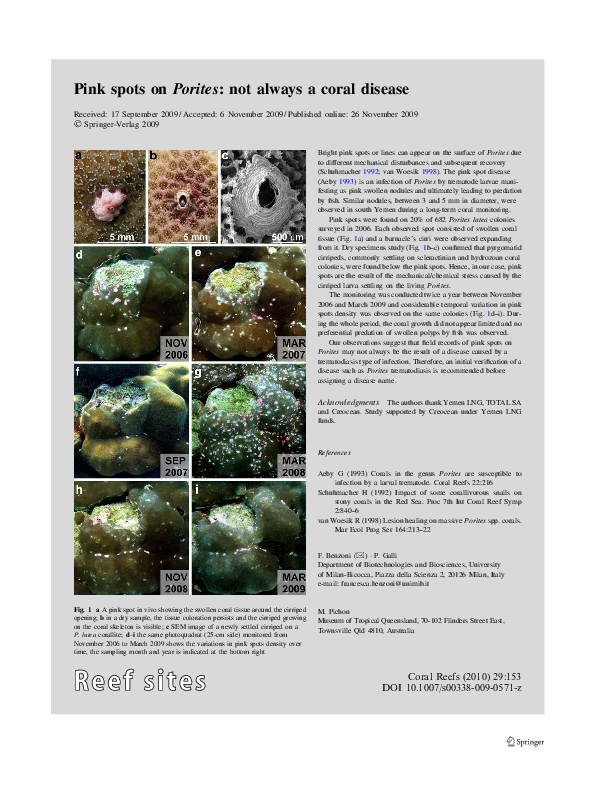 (PDF) Pink spots on Porites: not always a coral disease