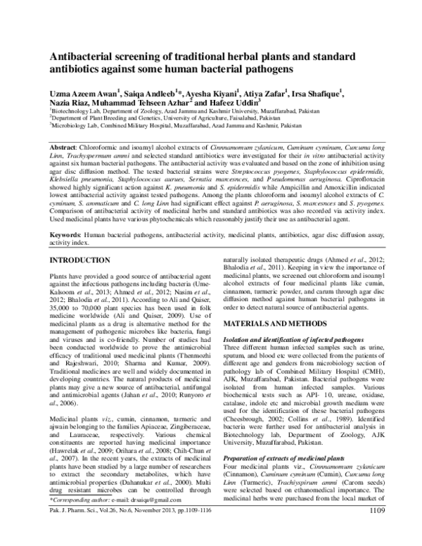(PDF) In vitro antibacterial activity of Rumex nervosus and Clematis simensis plants against ...