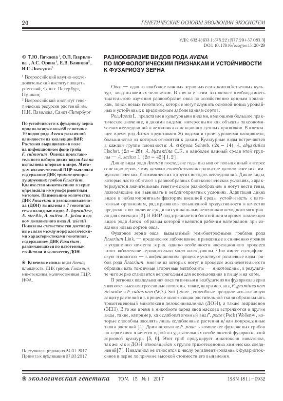(PDF) Diversity of the species of genus Avena revealed by morphological ...