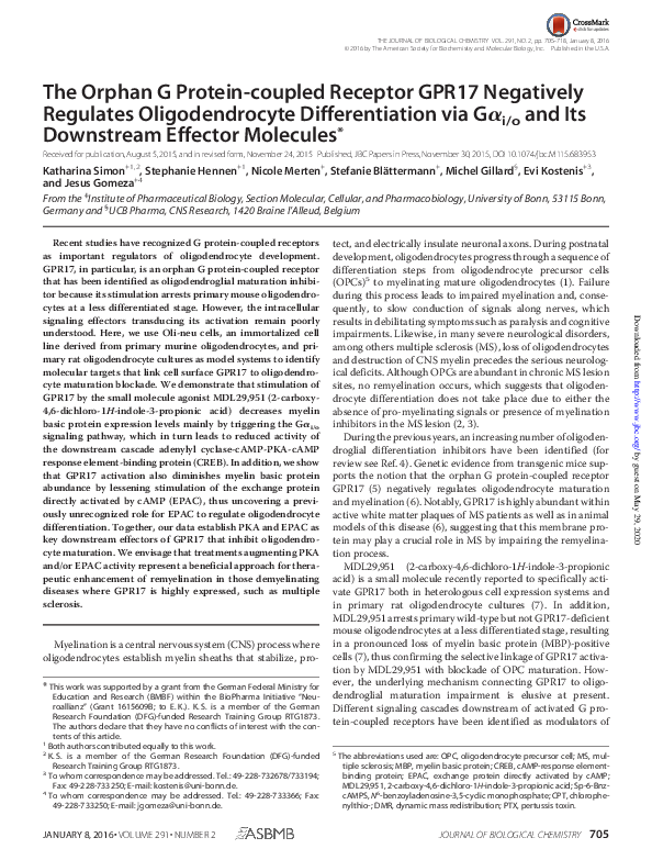 (PDF) The Orphan G Protein-coupled Receptor GPR17 Negatively Regulates ...