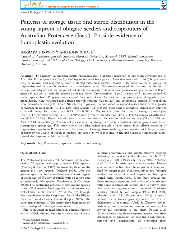 (PDF) Patterns of storage tissue and starch distribution in the young ...
