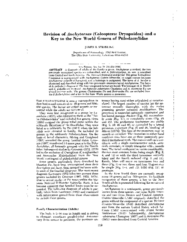 (PDF) Revision of Anchytarsus (Coleoptera: Dryopoidea) and a Key to the ...